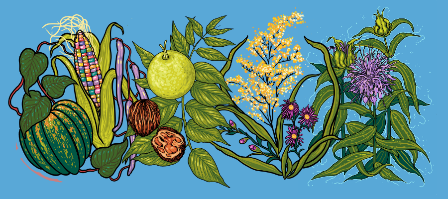 Centennial College - Indigenous Education Gardens