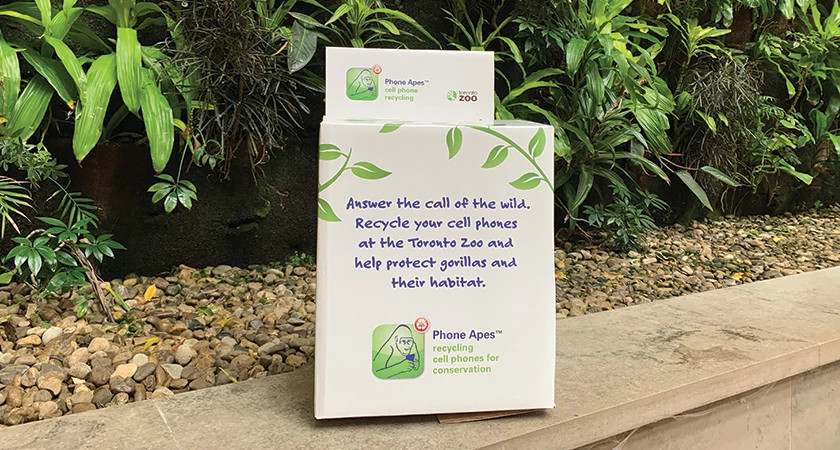 Centennial College - Phone Apes Recycling Program