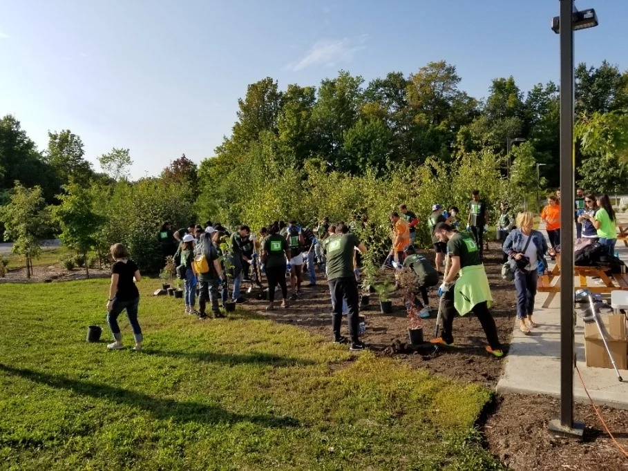 Centennial College - Tree Plantings