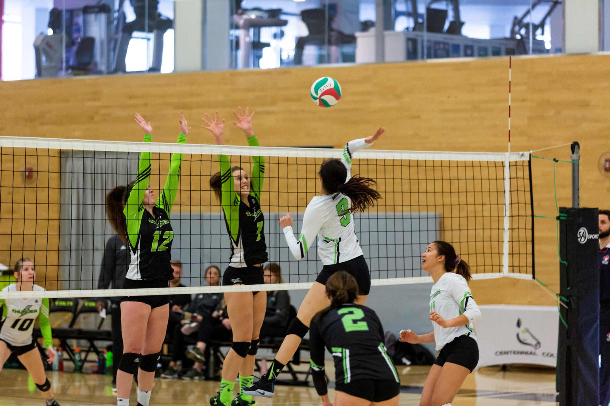 Centennial College - Centennial Stars: Emily Joe