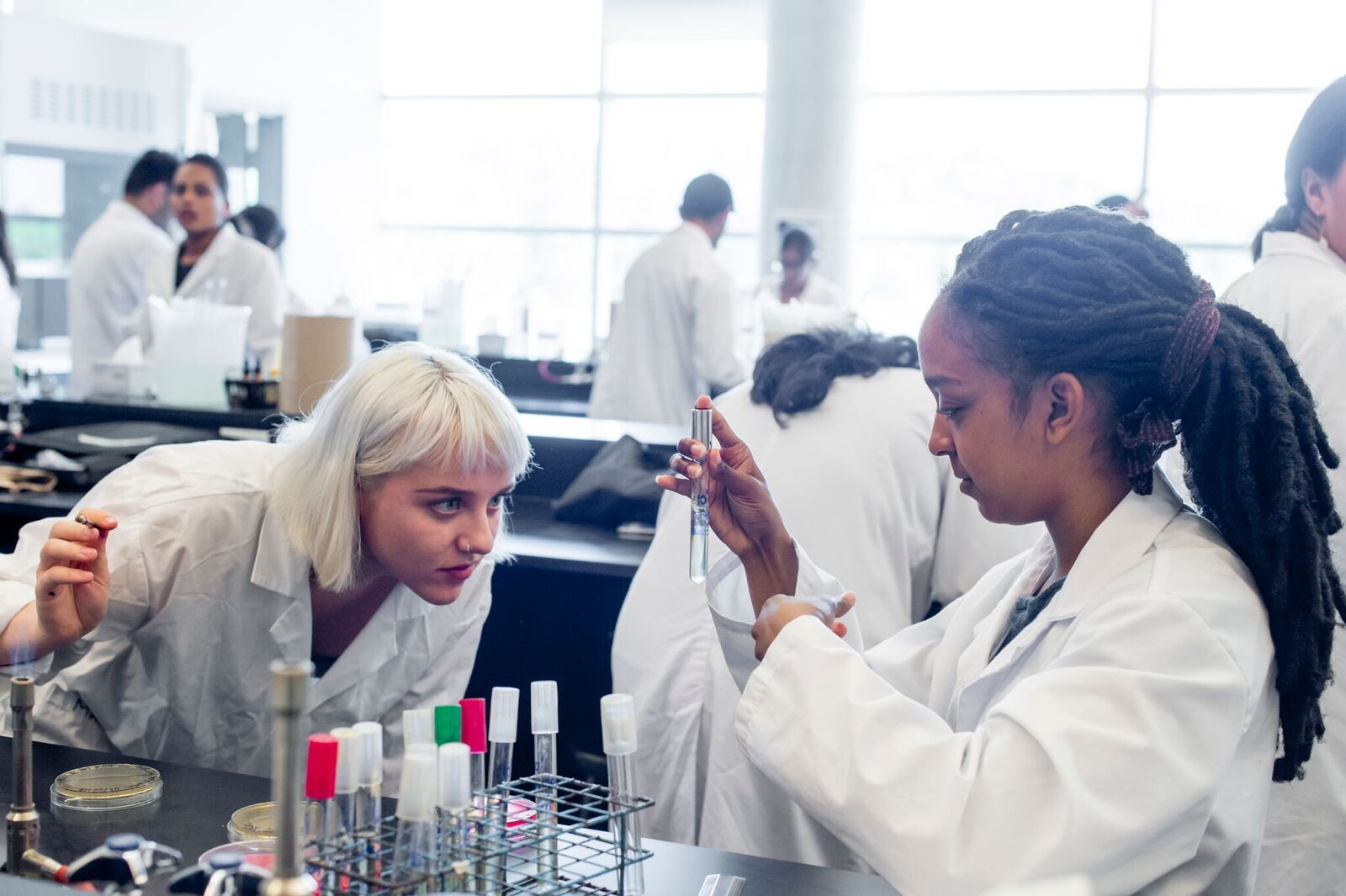 Centennial College - Biotechnology FAQ: What it is, and why you want a ...